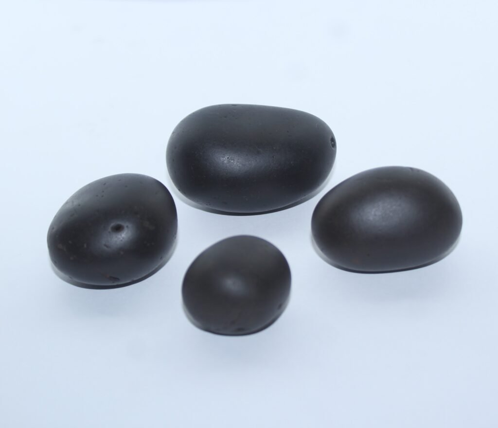 "Buy Shaligram Shila from Nepal: Divine Symbol"