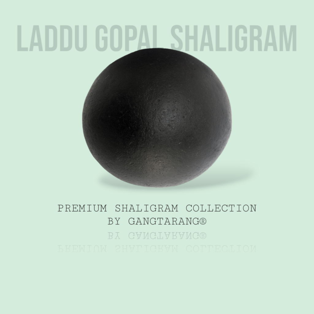 Buy Laddu Gopal Shaligram - Invite Blessings of Lord Krishna