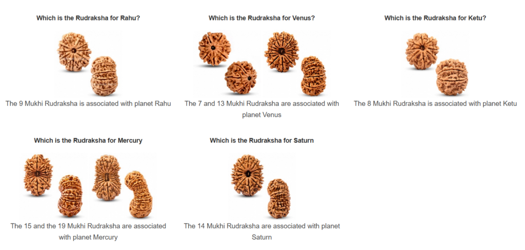 Rudraksha Guide – Types, Benefits, Uses & Buy | Gangtarang™