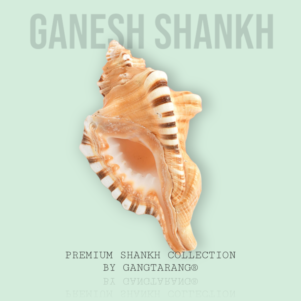 Buy Ganesh Shankh – For Wisdom, Puja & Success | Gangtarang™