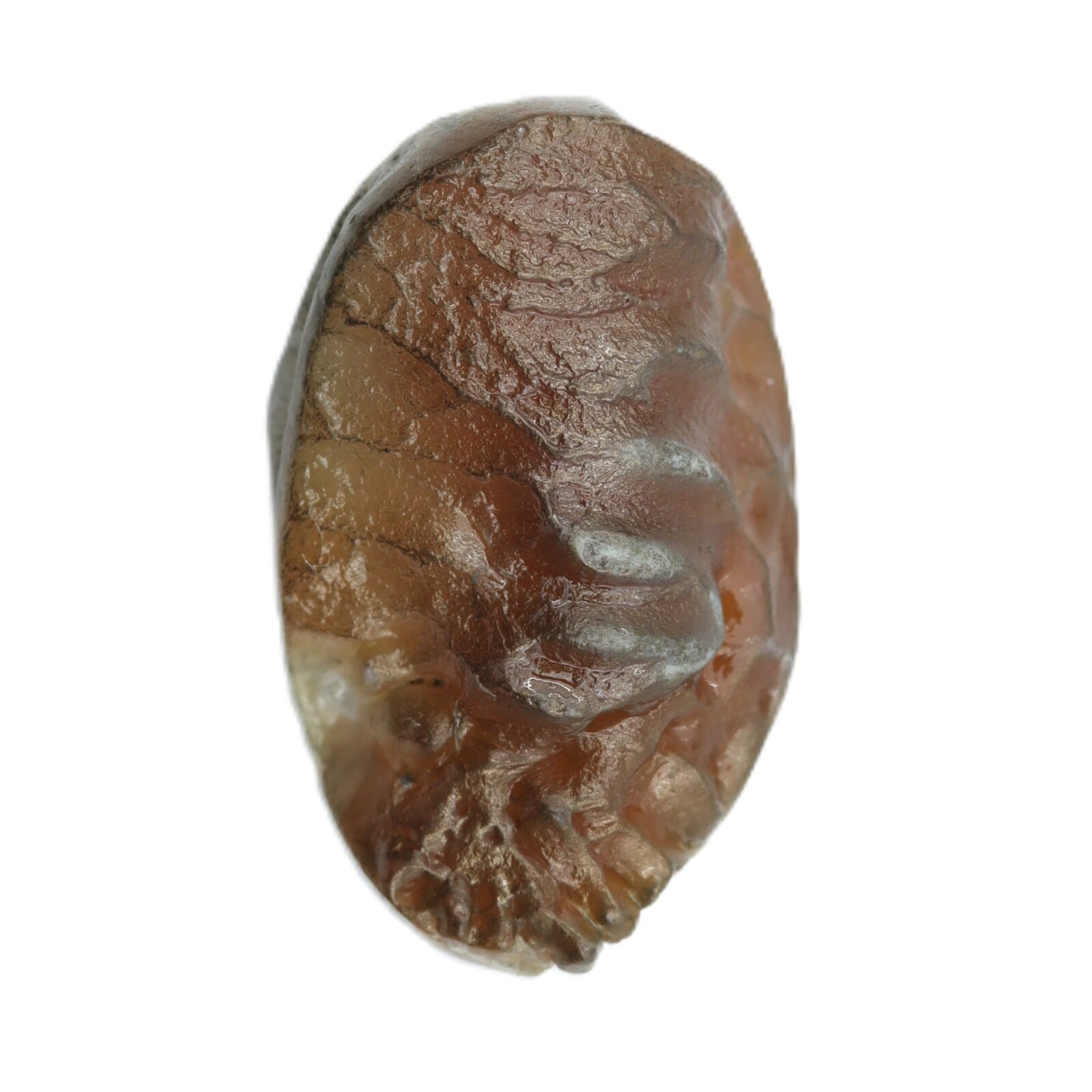 Shukra Mani - Gangtarang